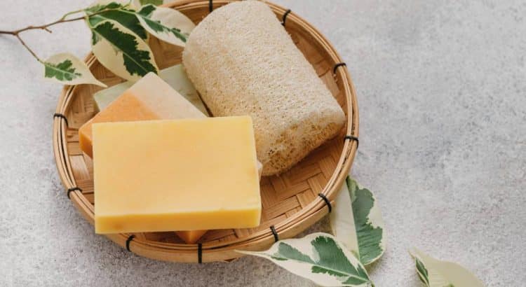 Produtos sustentáveis: 13 ideias para você vender